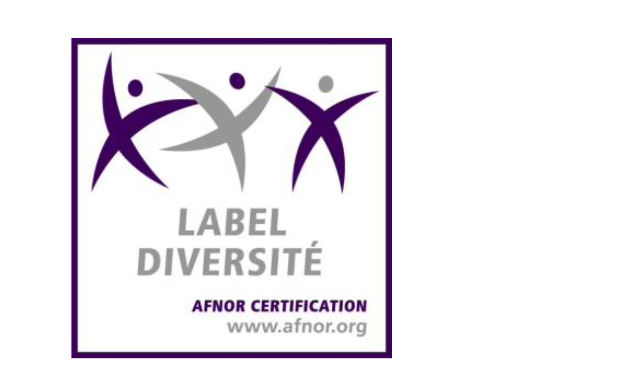 Label Diversité Afnor : une certification exigeante mais utile - Têtu ...